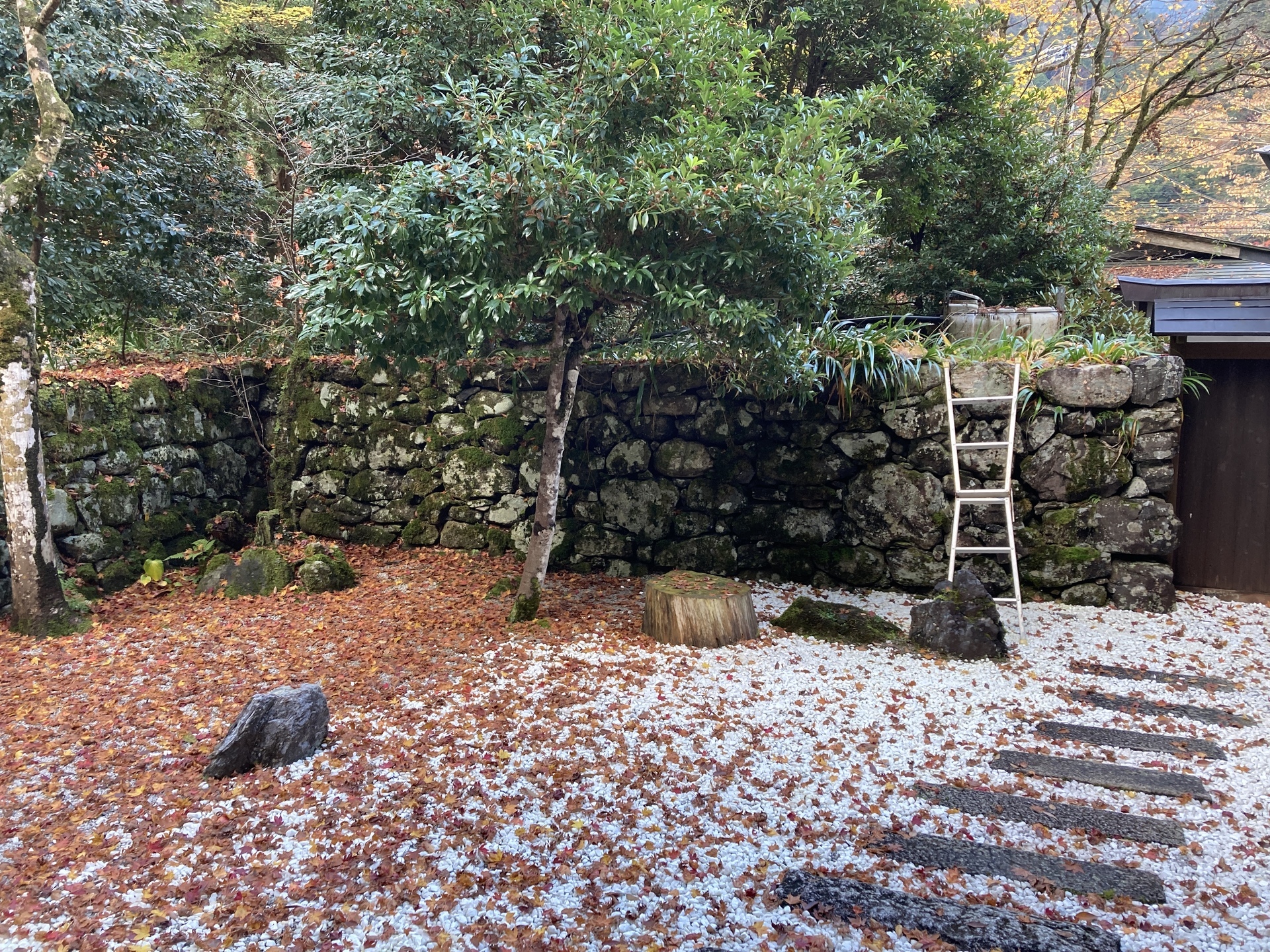 大津市葛川 明王院: 妹子の川のねきで2