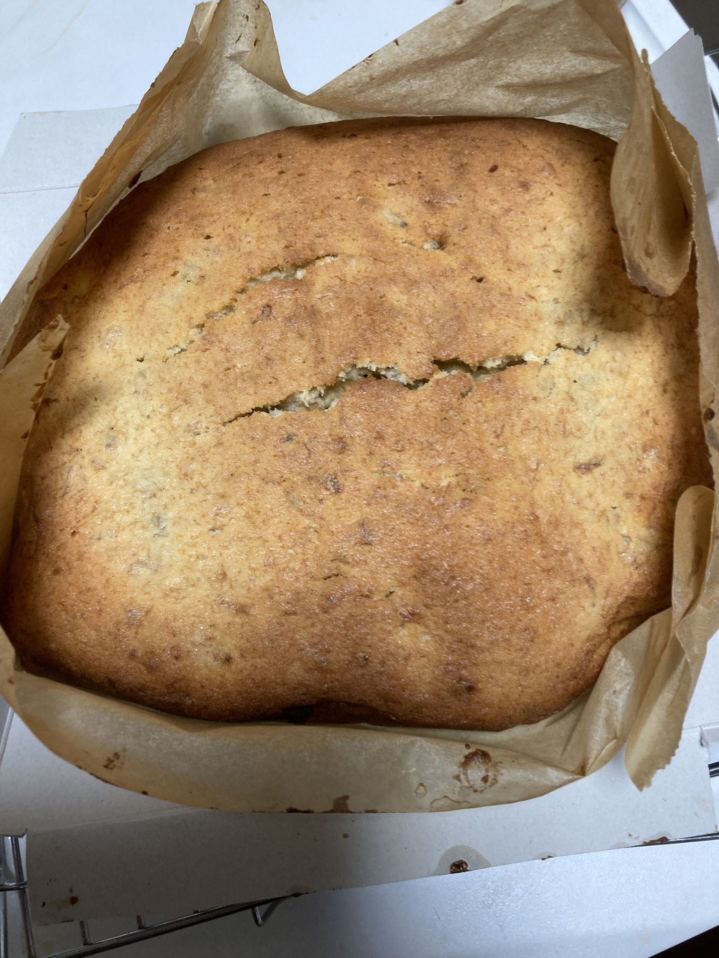 今日は富山料理です: 妹子の川のねきで2